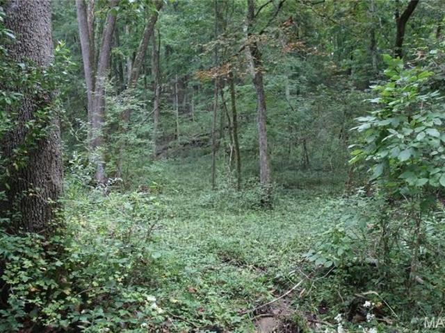6.72 Acres Pendleton Lost Creek Rd, Warrenton, MO 63383