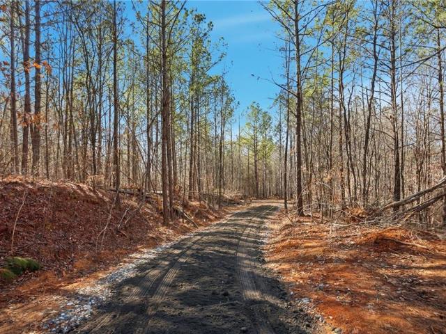 6.731 Acres on Pete Path