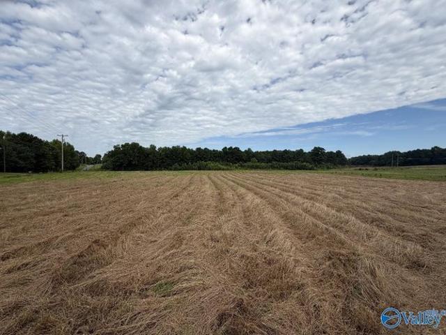 6.87 Ac Pleasant Hill Rd, Guntersville, AL 35976