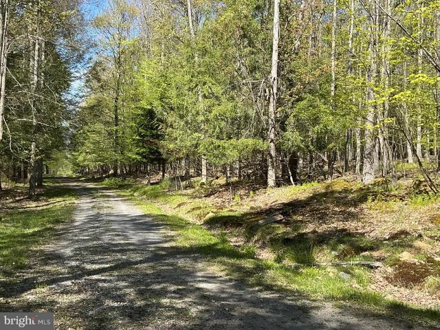 6.89 Acres Woodlands Hill Dr Drive