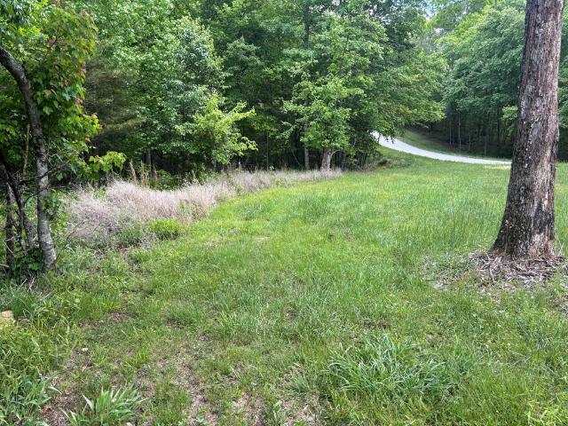 6.8 ACRE Saddle Lane