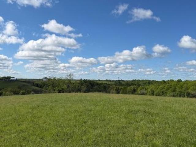 6.93 Ac Chipman Ridge Rd, Williamstown, KY 41097
