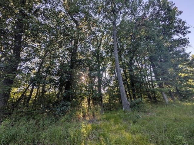 6th Ave Lot 83, Grand Marsh, WI 53936