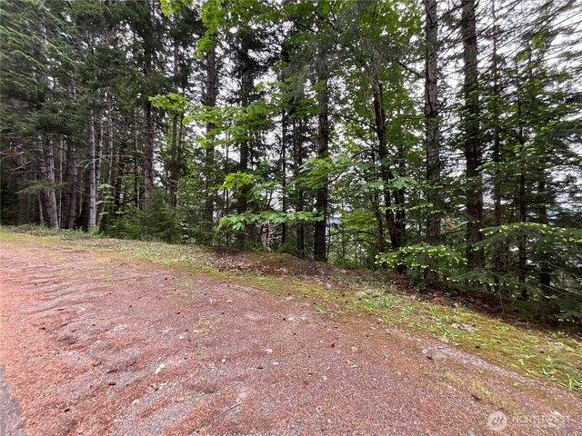 6X N Colony Surf Dr, Lilliwaup, WA 98555