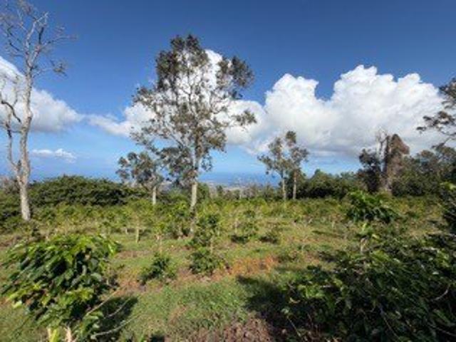 73 4245 Hawaii Belt Rd, Kailua Kona, HI 96740