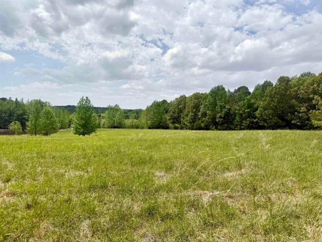73.22 acres Greene 620 Road