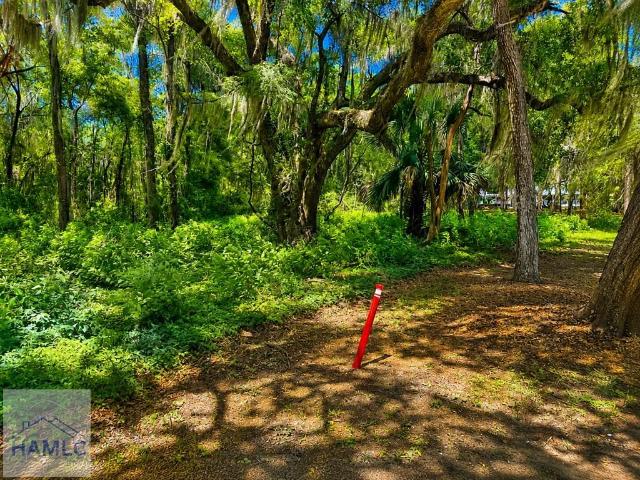 73 Tolomato Island Drive