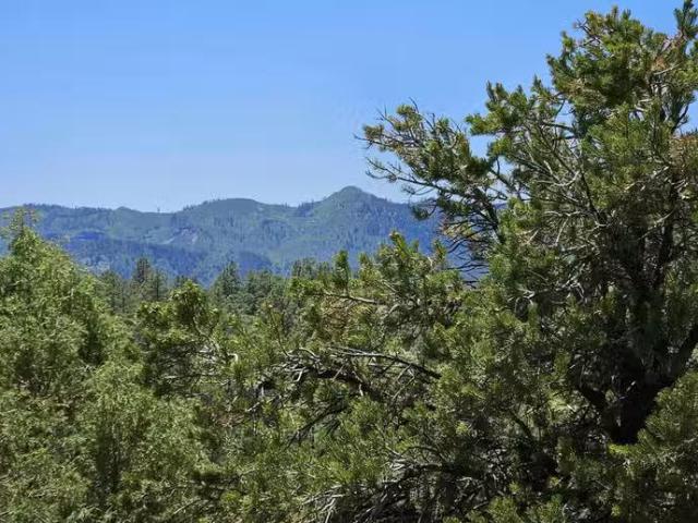 73 WAYNES CT, PAGOSA SPRINGS, CO 81147 Single Family Residence.