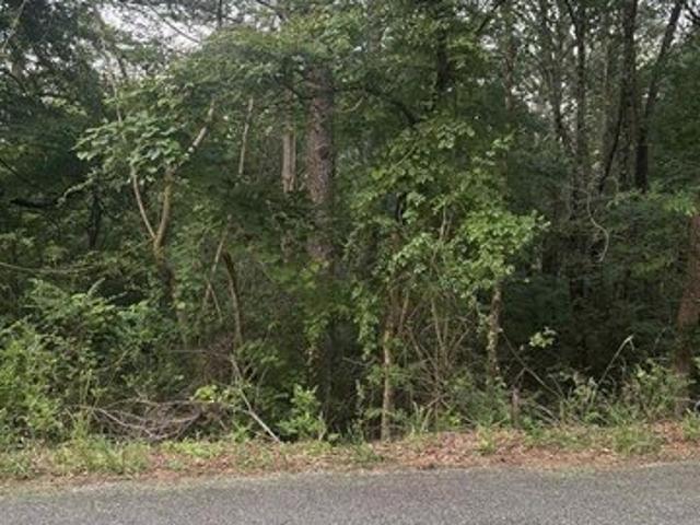 73 Berkley Hills Dr S, Southside, AL 35907