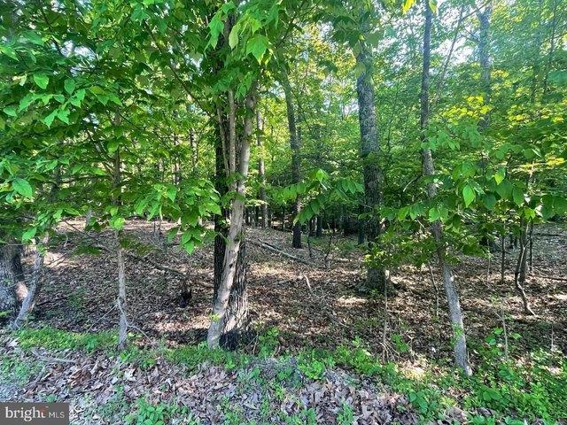 73 Colonial Dr, Berkeley Springs, WV 25411