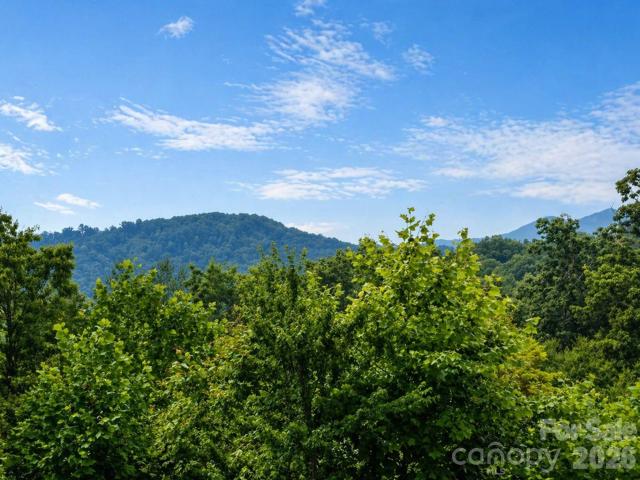 73 Dalya Rd, Swannanoa, NC 28778 | MLS #4352