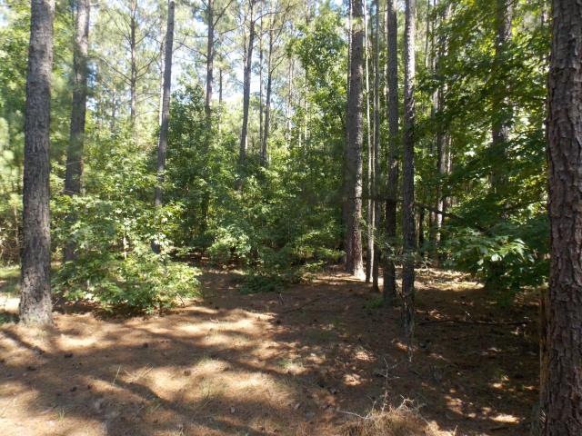 73 Maiden Cane Way, Lincolnton, GA 30817 | MLS #98212 | Compass