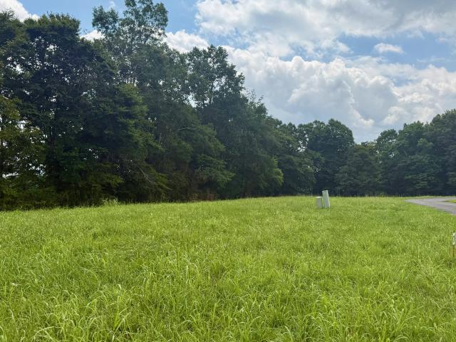 73 Meadows Loop