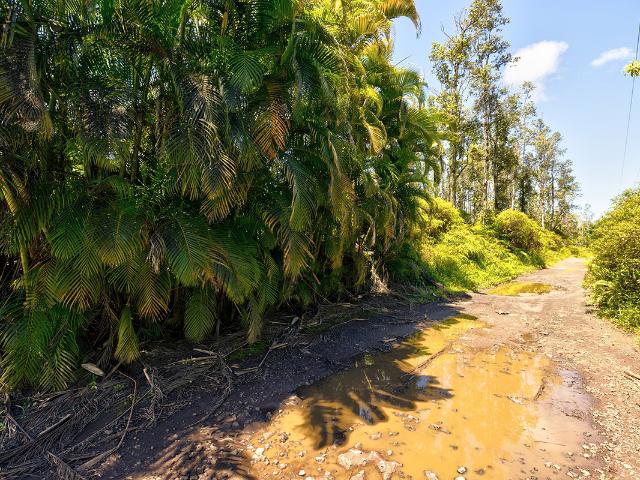 73 Nanawale Farms Rd, Pahoa, HI 96778 | MLS #723550