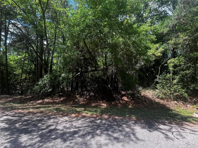73 Sunny Hill Dr, Coldspring, TX 77331 | MLS #78447 | Compass