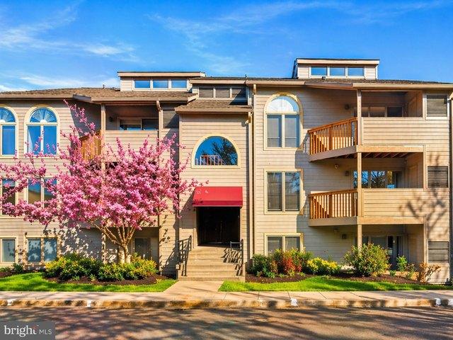 7006 Channel Village Ct Apt 101, Annapolis, MD 21403