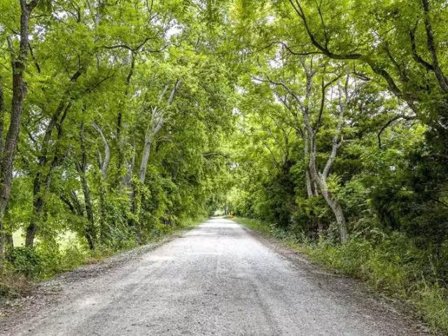 7000 Co Rd 995, Mc Kinney, TX 75071 MLS 20574773