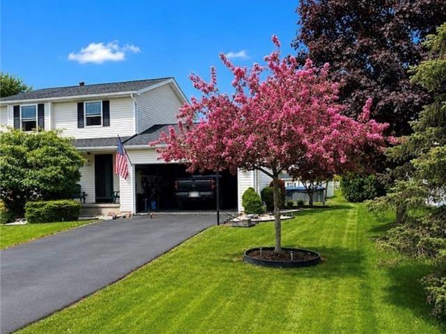 7001 Rebecca Drive