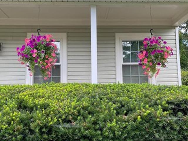 7003 Polins Ct, Alexandria, VA 22306