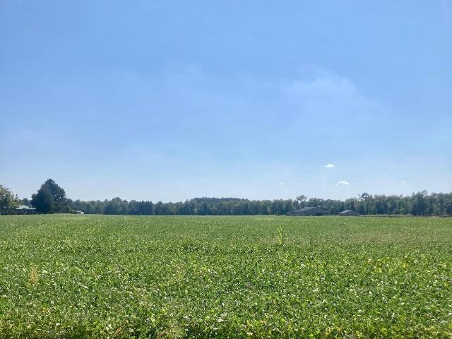 700 769 Sandtown Rd, Felton, DE 19943 | MLS #DEKT2041