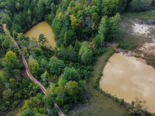 700 Acres Puncheon Creek Lane