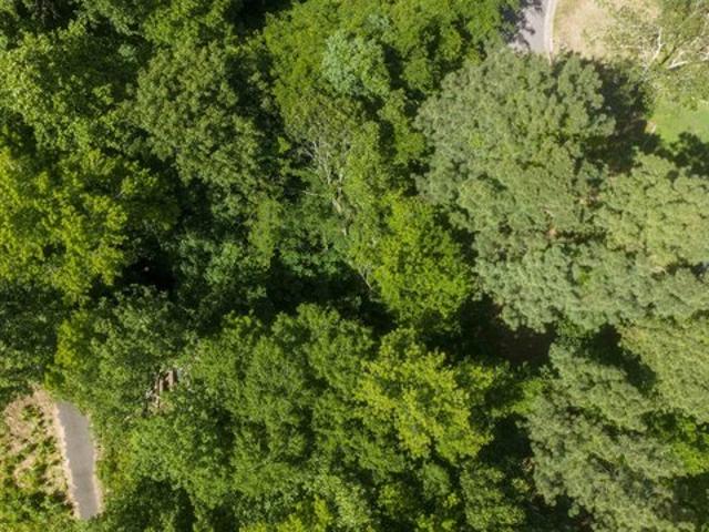 700 Brookhaven, Durham, NC 27707