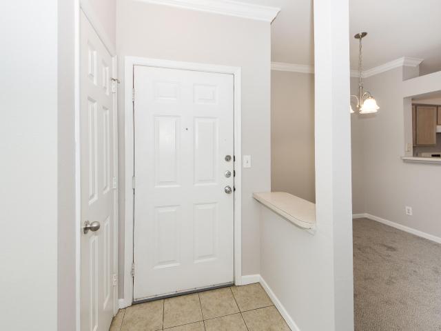 700 Daniel Ellis Drive Apt 4203
