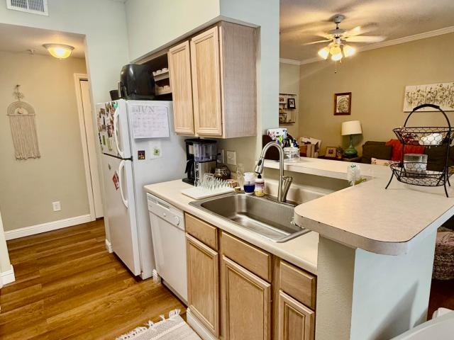 700 Daniel Ellis Drive 9105