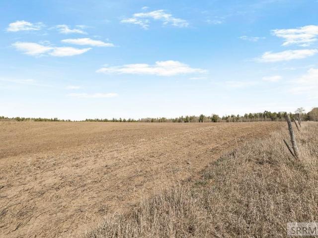 700 E 700 N, Ashton, ID 83420 | MLS #2185