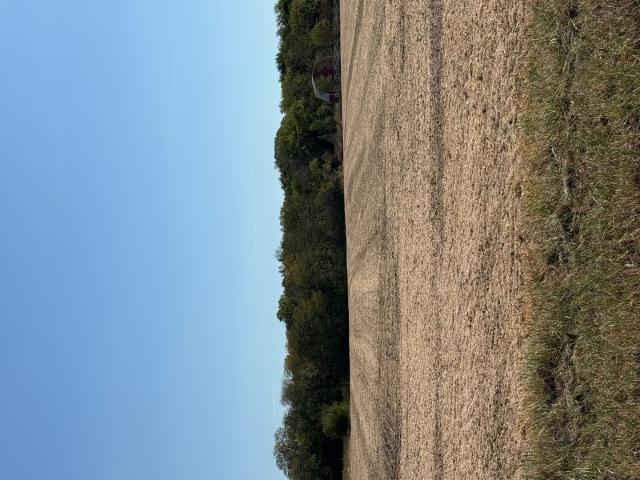 700 E, Fisher, IL 61843 | MLS #12489