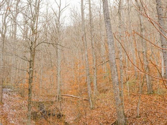 700 Oak Holw, White Sulphur Springs, WV 24986