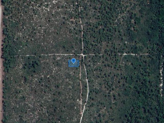 700 Watterson St, Lake Placid, FL 33852 | MLS #A11896