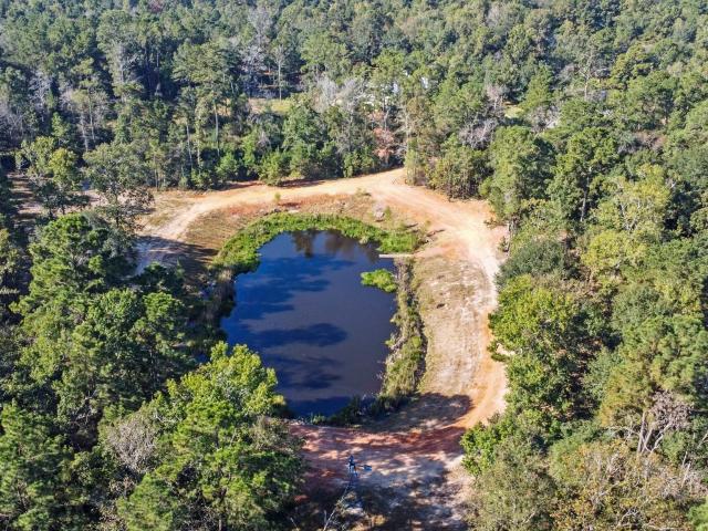 7015 Woodlake Trl, Montgomery, TX 77316 | MLS #34809
