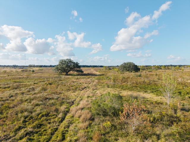 7017 County Road 100