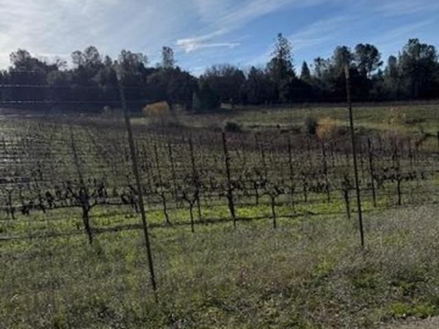 7017 Idlewild Rd, Somerset, CA 95684