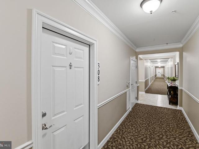 701 Cobblestone Boulevard # 308