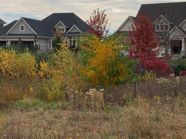 701 Shawnee Woods Rd, Medina, MN 55340 | MLS #6640