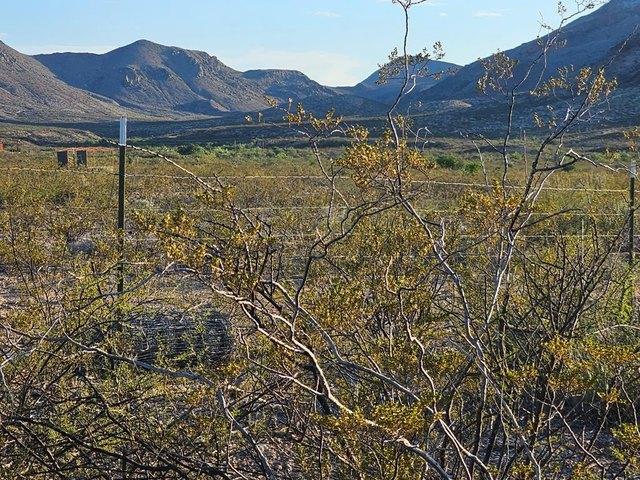 701 W Worry Wort Ave, Terlingua, TX 79852