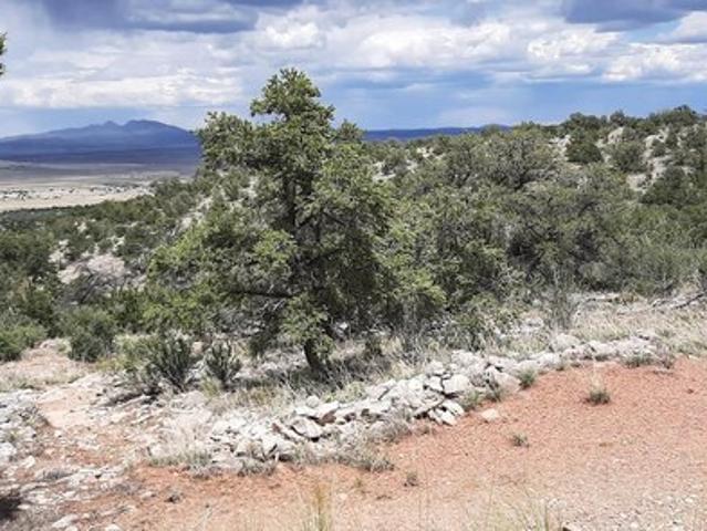 701 W Everwood Trl Lot 701, Seligman, AZ 86337