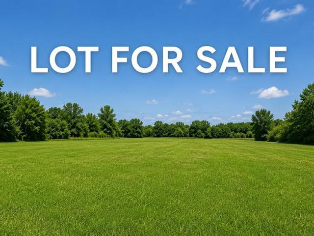 701 Williams Way Lot 11, Carbon Cliff, IL 61239