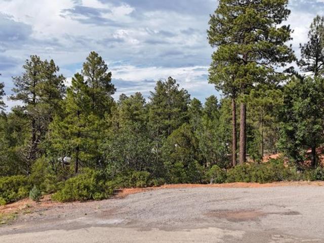 7026 Leo Ln, Lakeside, AZ 85929