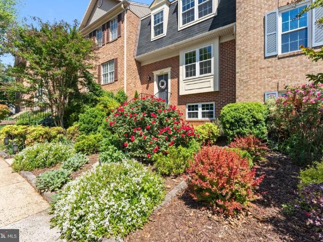 7027 Solomon Seal Court