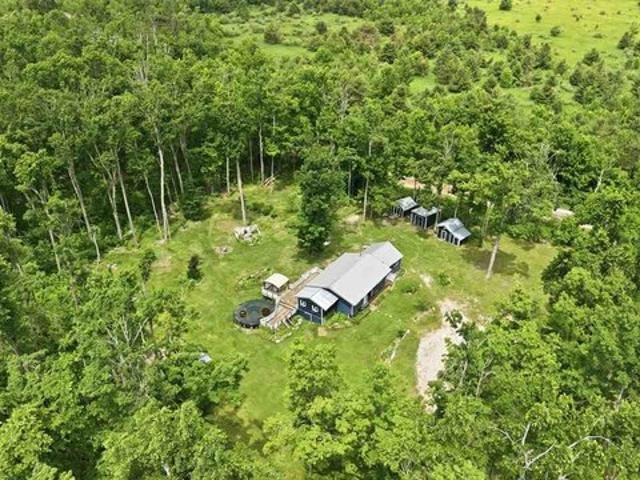 7028 Barney Rd, Alanson, MI 49706