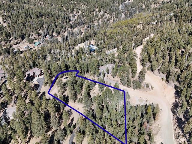 7022 S Blue Creek Rd, Evergreen, CO 80439 | MLS #1052