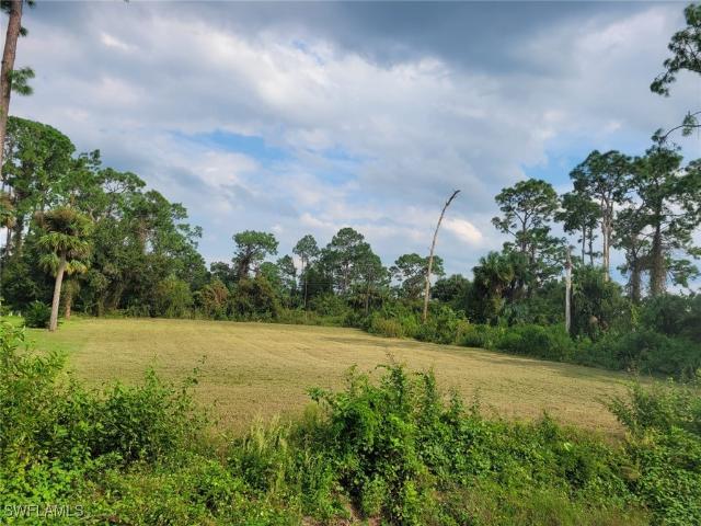 702 James Ave, Lehigh Acres, FL 33936 | MLS #224060