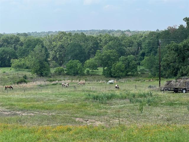 702 Paint Creek Rd, McDade, TX 78650 | MLS #2098 | Compass