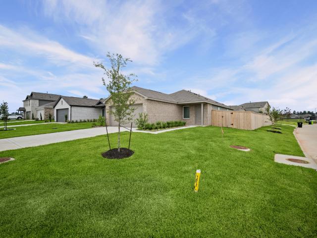 702 Umbrella Tree Drive