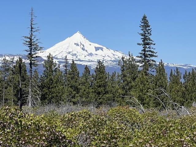 70390 McAllister Rd Parcel 1, Sisters, OR 97759