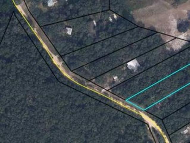 7033 Gatorbone Rd, Keystone Heights, FL 32656