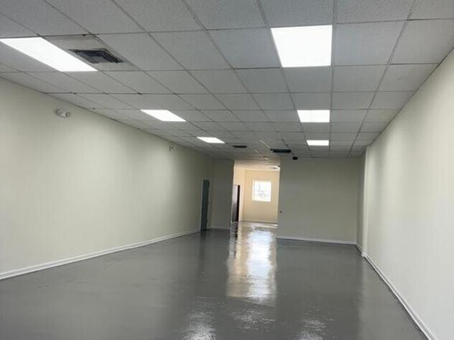 703 Black Horse Pike